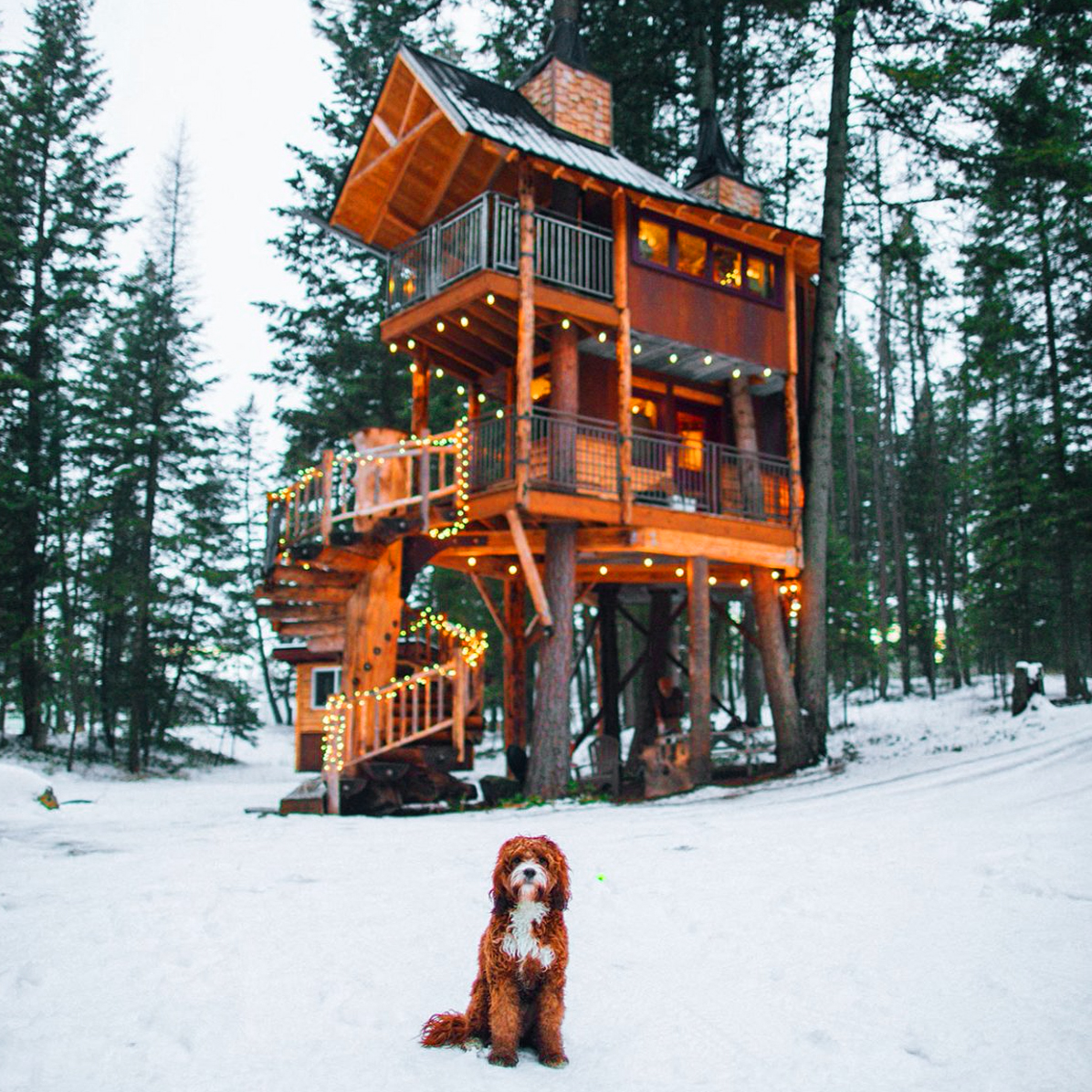 Staying at the Montana Treehouse Retreat - SHLTR